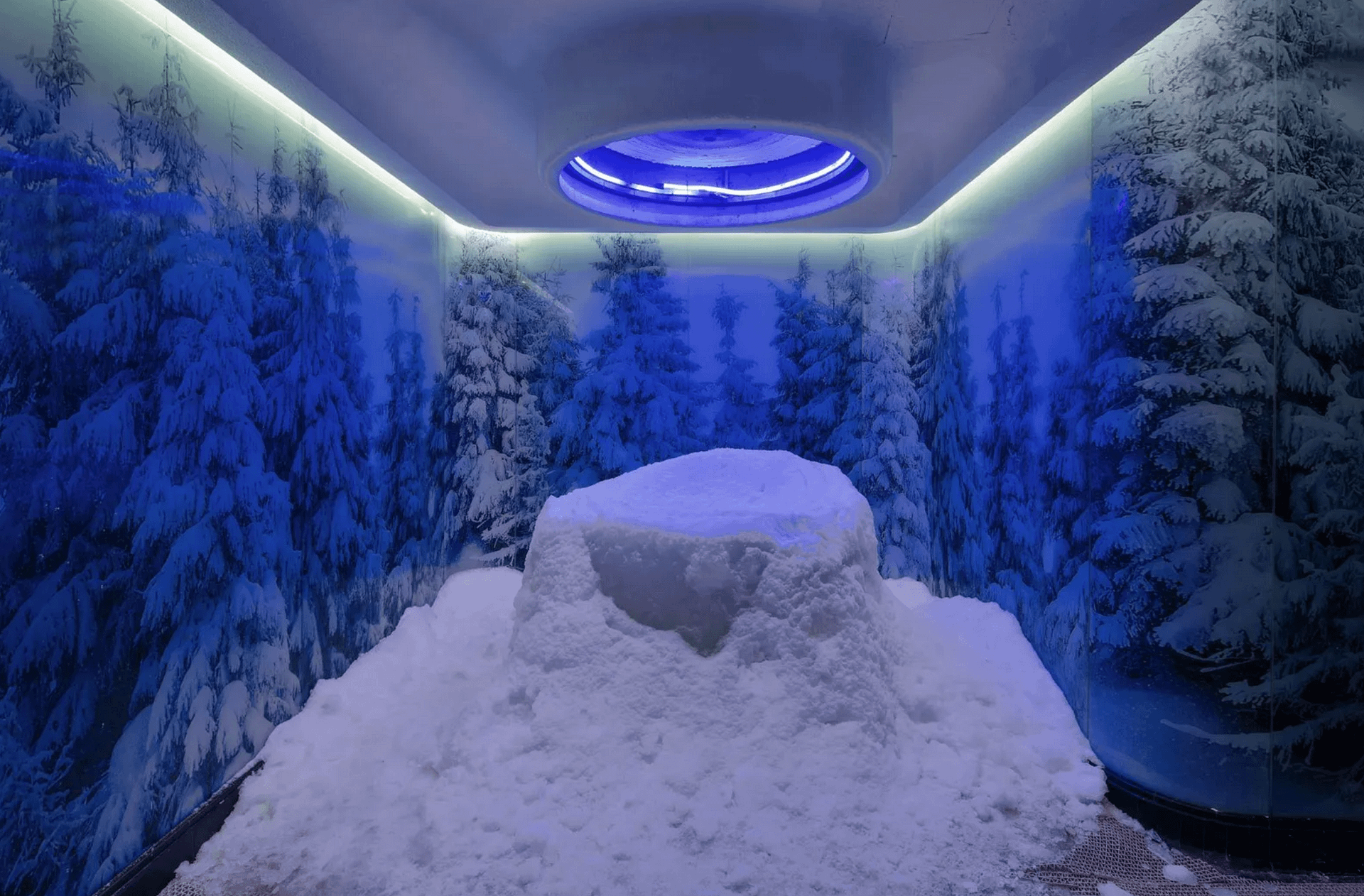 Incredible Dubai Villa with Party Lounge & Snow Room (PHOTOS)