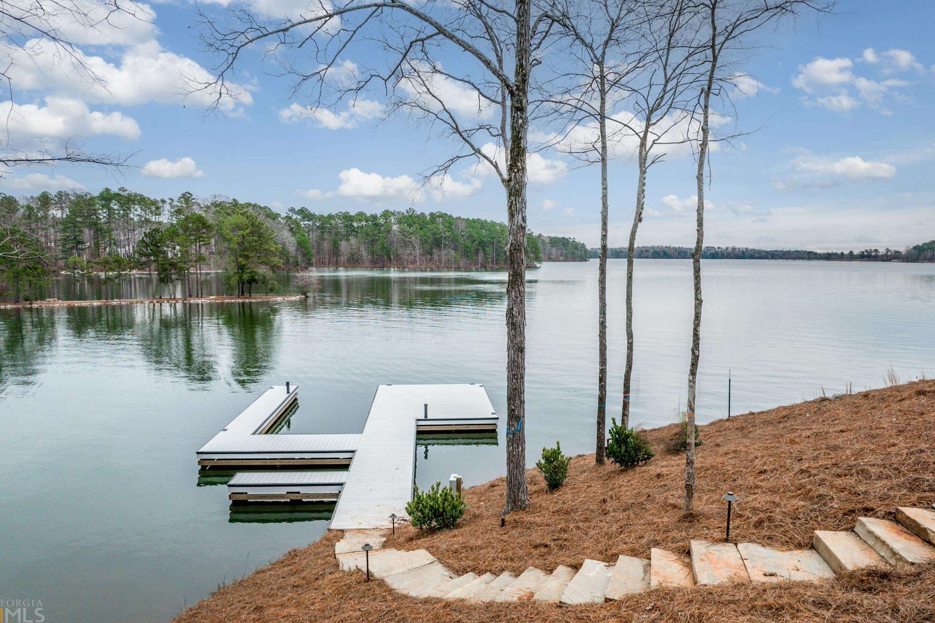 $5 Million Lakefront New Build In Georgia (PHOTOS)