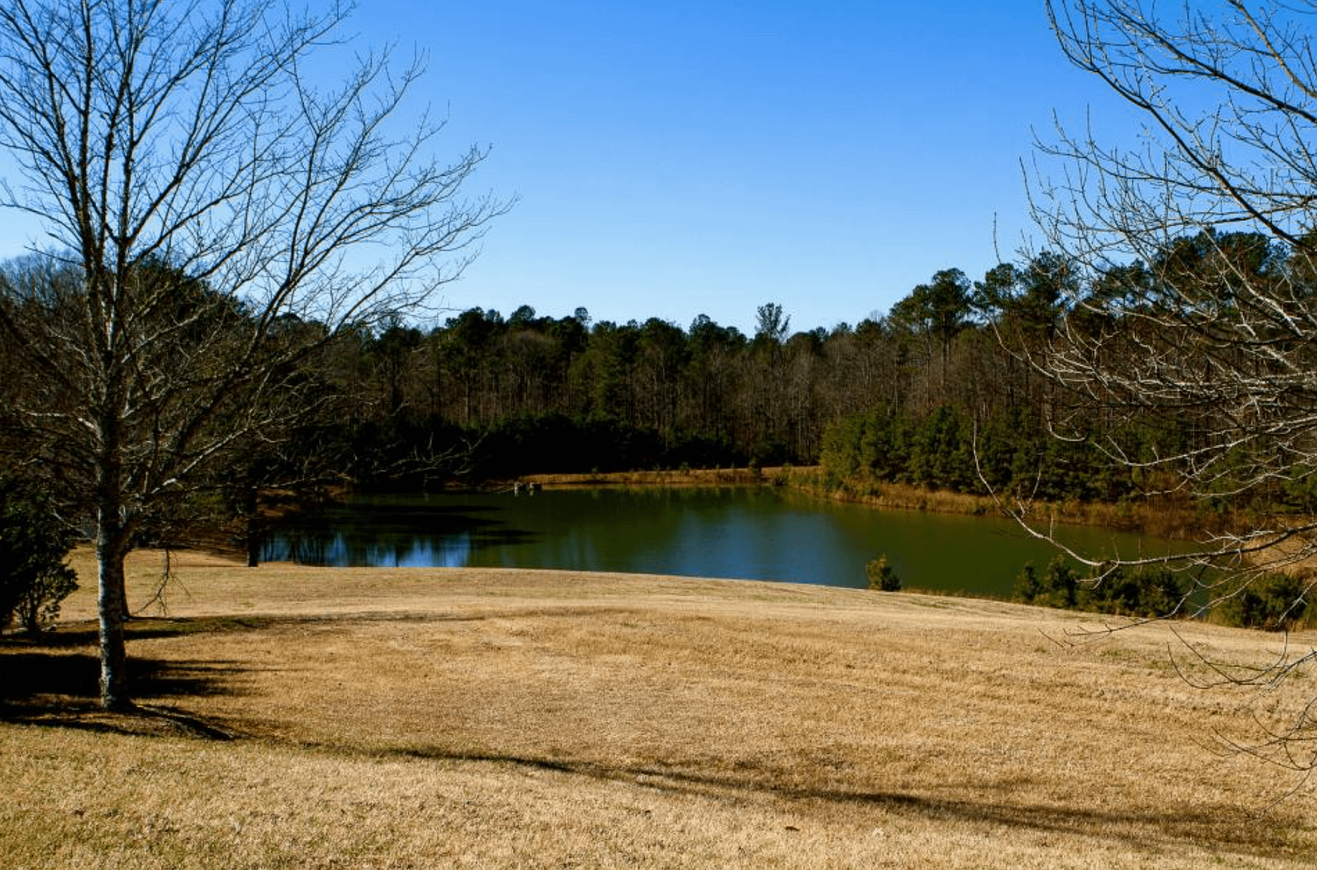 Inside Rick Ross' Georgia Mega Home (PHOTOS)