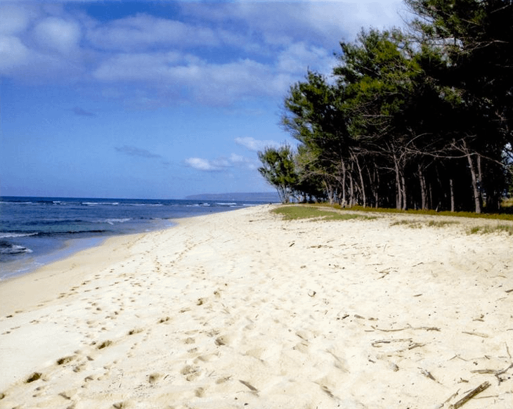 Hawaii's Historic 2700 Acre Dillingham Ranch On The Market For $65 ...